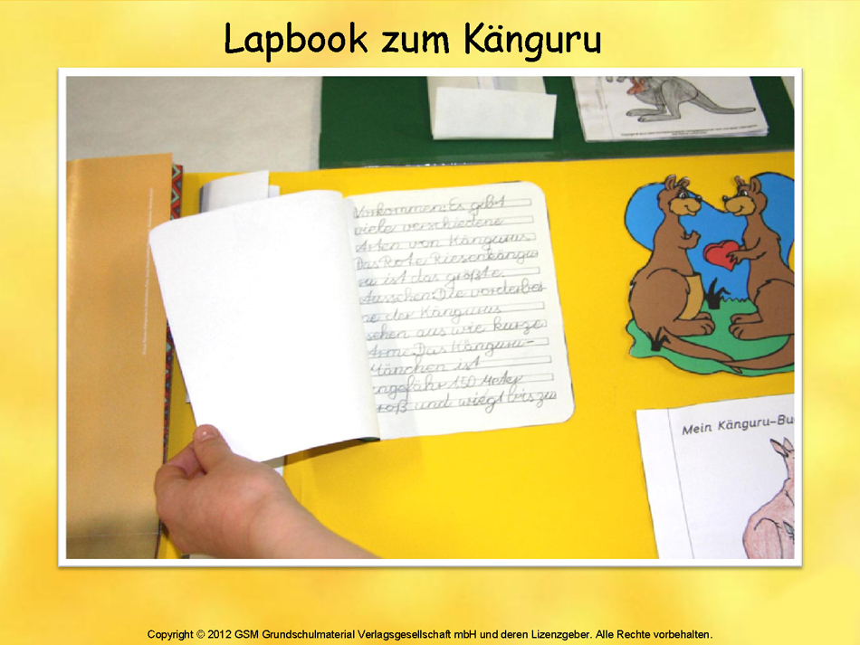 Ein Lapbook zum Thema Tiere erstellen - 2 - Medienwerkstatt-Wissen © 2006-2025 Medienwerkstatt