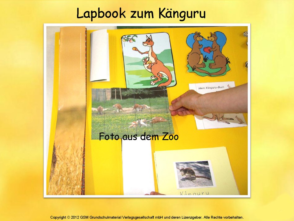 Ein Lapbook zum Thema Tiere erstellen - 3 - Medienwerkstatt-Wissen © 2006-2025 Medienwerkstatt