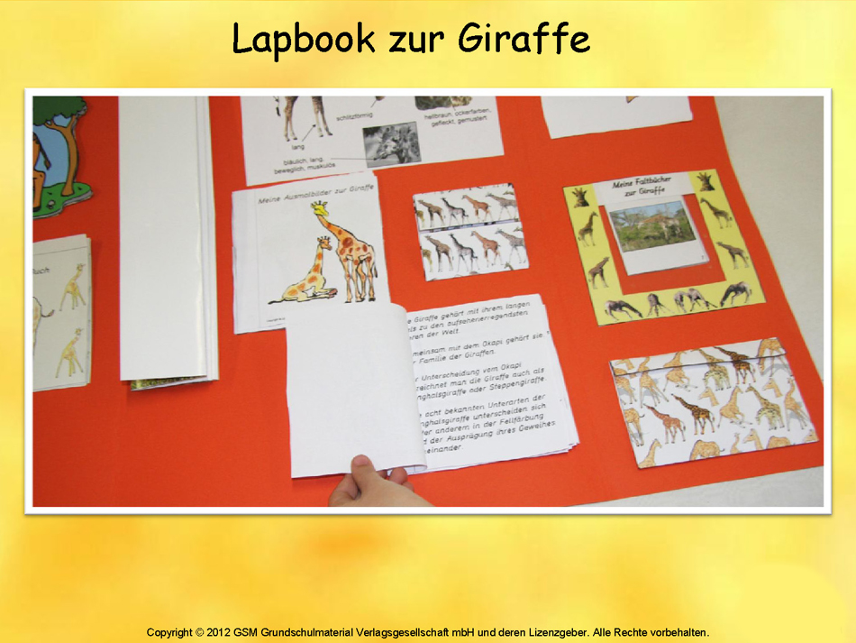 Ein Lapbook zum Thema Tiere erstellen - 6 - Medienwerkstatt-Wissen © 2006-2025 Medienwerkstatt