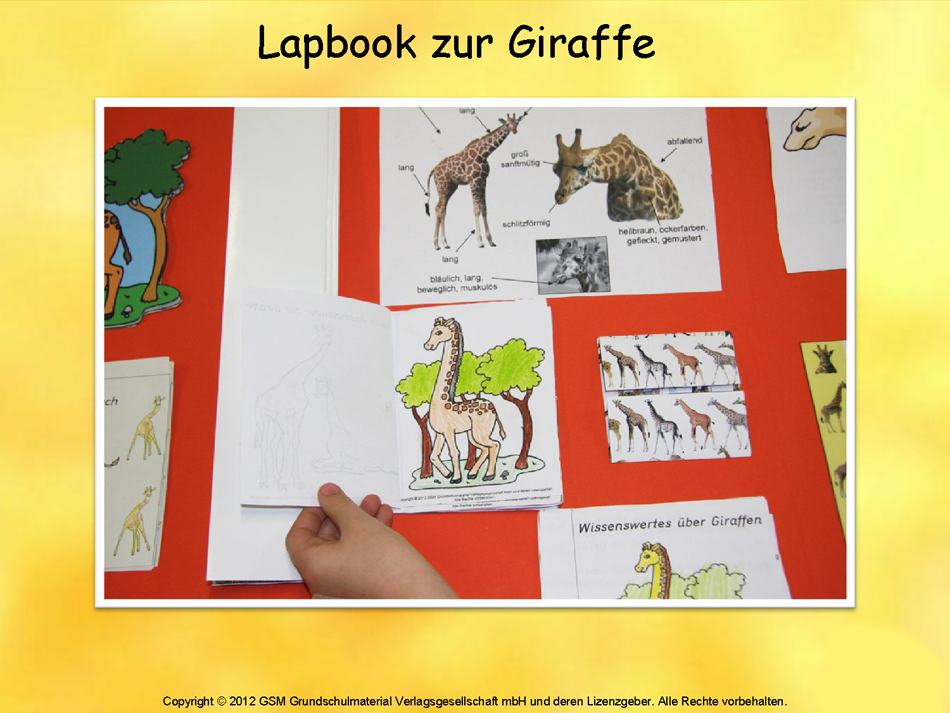 Ein Lapbook zum Thema Tiere erstellen - 6 - Medienwerkstatt-Wissen © 2006-2025 Medienwerkstatt