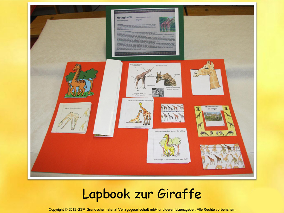 Ein Lapbook zum Thema Tiere erstellen - 6 - Medienwerkstatt-Wissen © 2006-2025 Medienwerkstatt