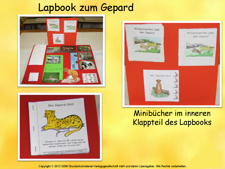Ein Lapbook zum Thema Tiere erstellen - 8 - Medienwerkstatt-Wissen © 2006-2025 Medienwerkstatt