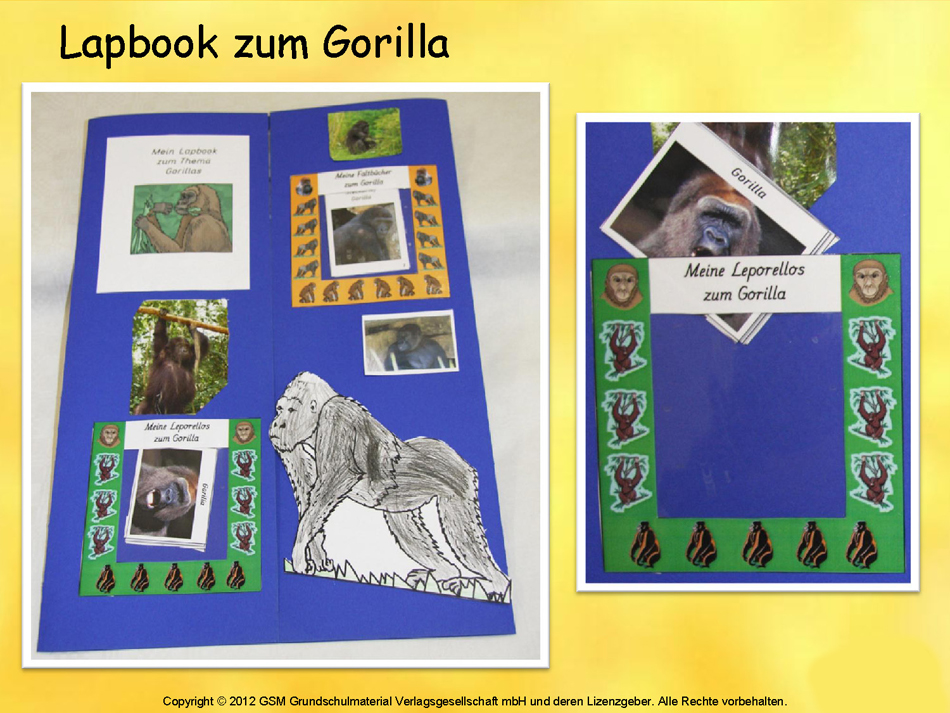 Ein Lapbook zum Thema Tiere erstellen - 8 - Medienwerkstatt-Wissen © 2006-2025 Medienwerkstatt