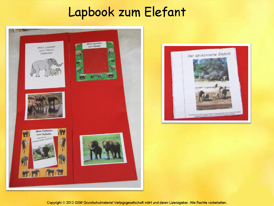 Ein Lapbook zum Thema Tiere erstellen - 8 - Medienwerkstatt-Wissen © 2006-2025 Medienwerkstatt