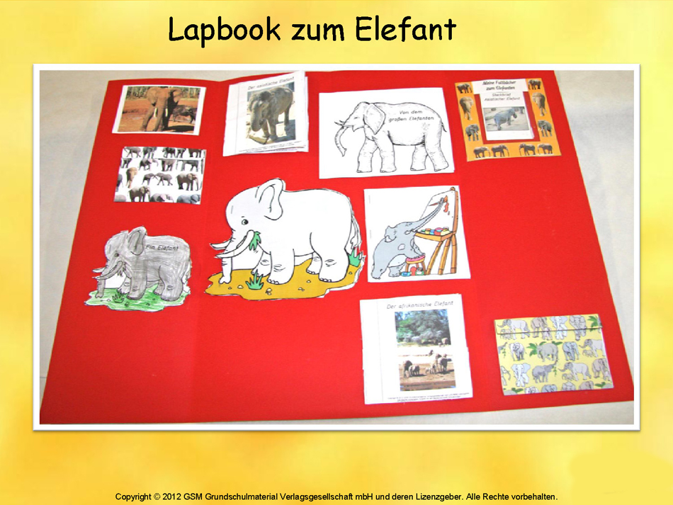 Ein Lapbook zum Thema Tiere erstellen - 8 - Medienwerkstatt-Wissen © 2006-2025 Medienwerkstatt