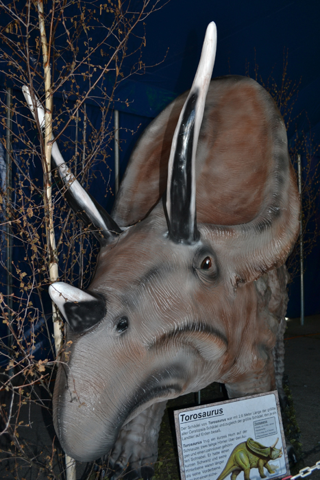 Torosaurus (Stier - Echse) - Fotos - Medienwerkstatt-Wissen © 2006-2025 Medienwerkstatt