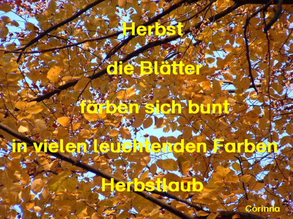 Herbst-Elfchen von Schülern - 3 - Medienwerkstatt-Wissen © 2006-2024 Medienwerkstatt
